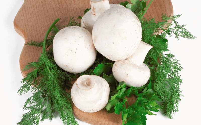 Does Dill Go With Mushrooms?