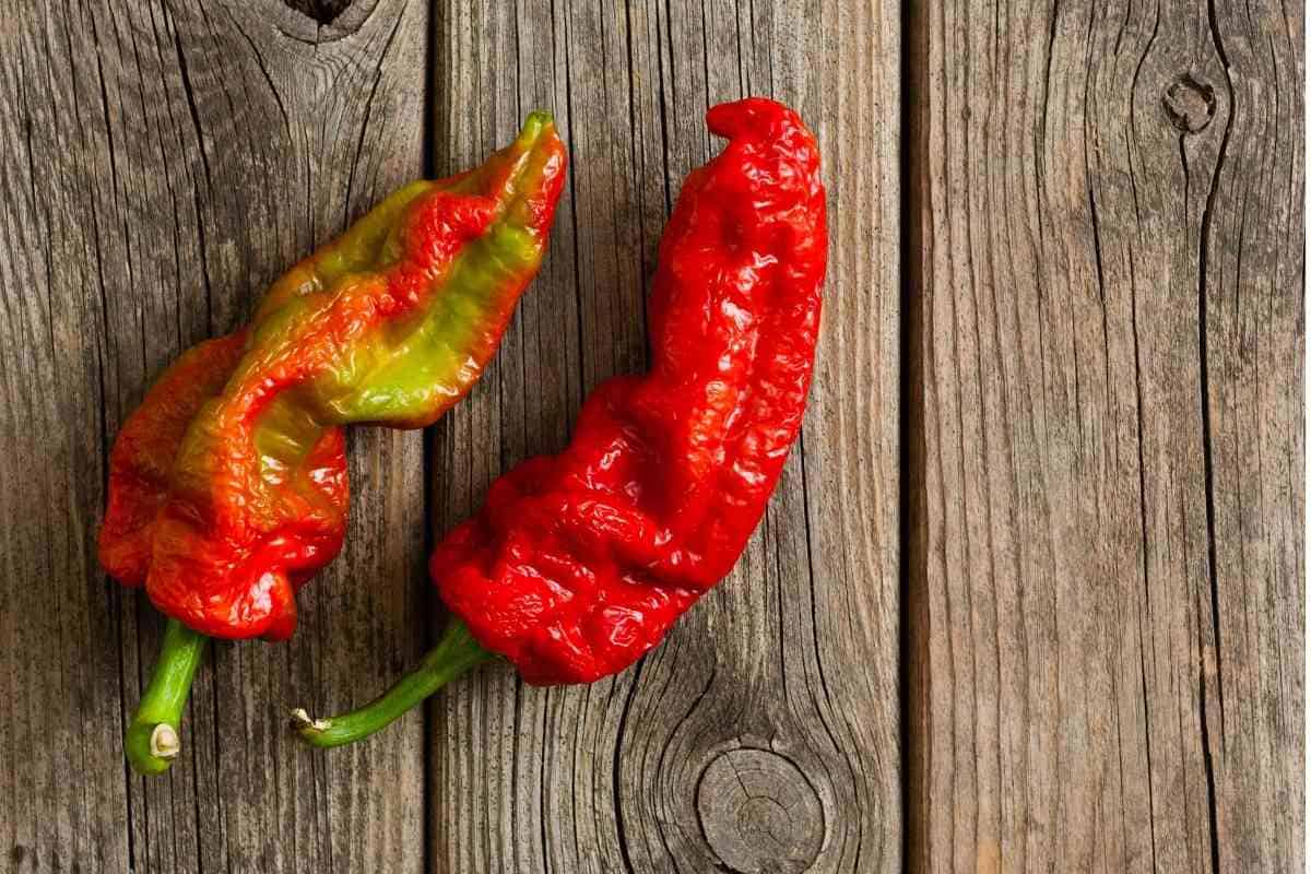 Top 27 Hottest Peppers in The World (With PHOTOS)