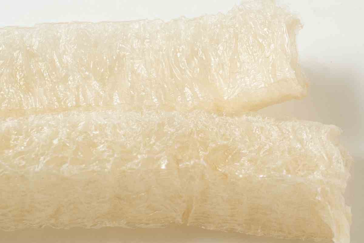 Agar Flakes Vs Powder (Major Differences)