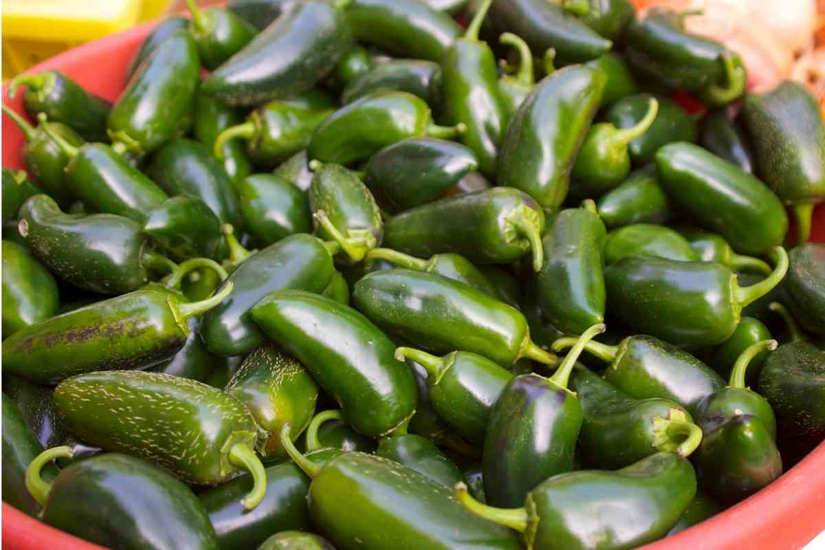 Pasilla Vs Guajillo (Key Differences)