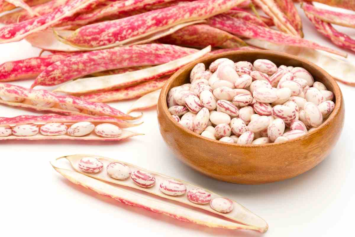 Chili Beans Vs Kidney Beans: Major Differences