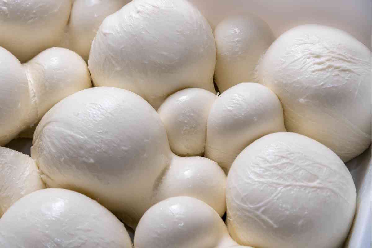 9 Different Types of Mozzarella Cheese
