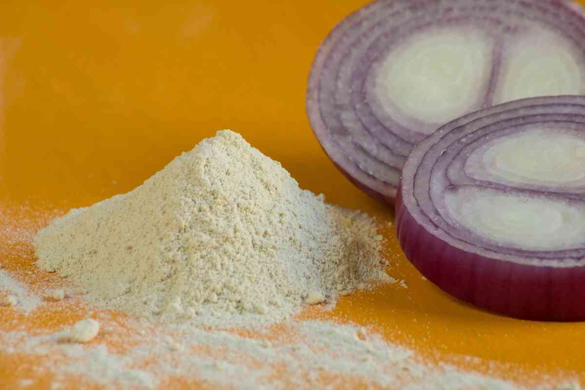 6 Best Onion Powder Substitutes