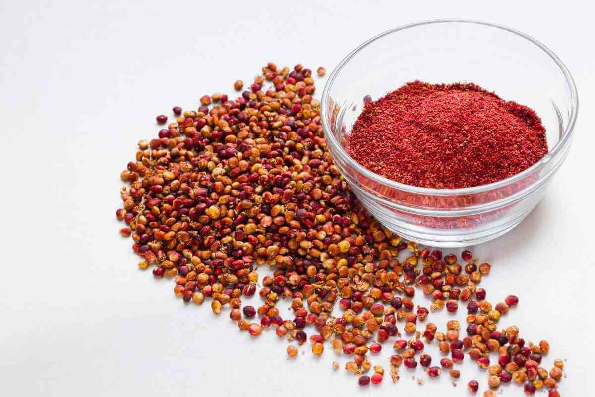 10 Best Sumac Substitutes