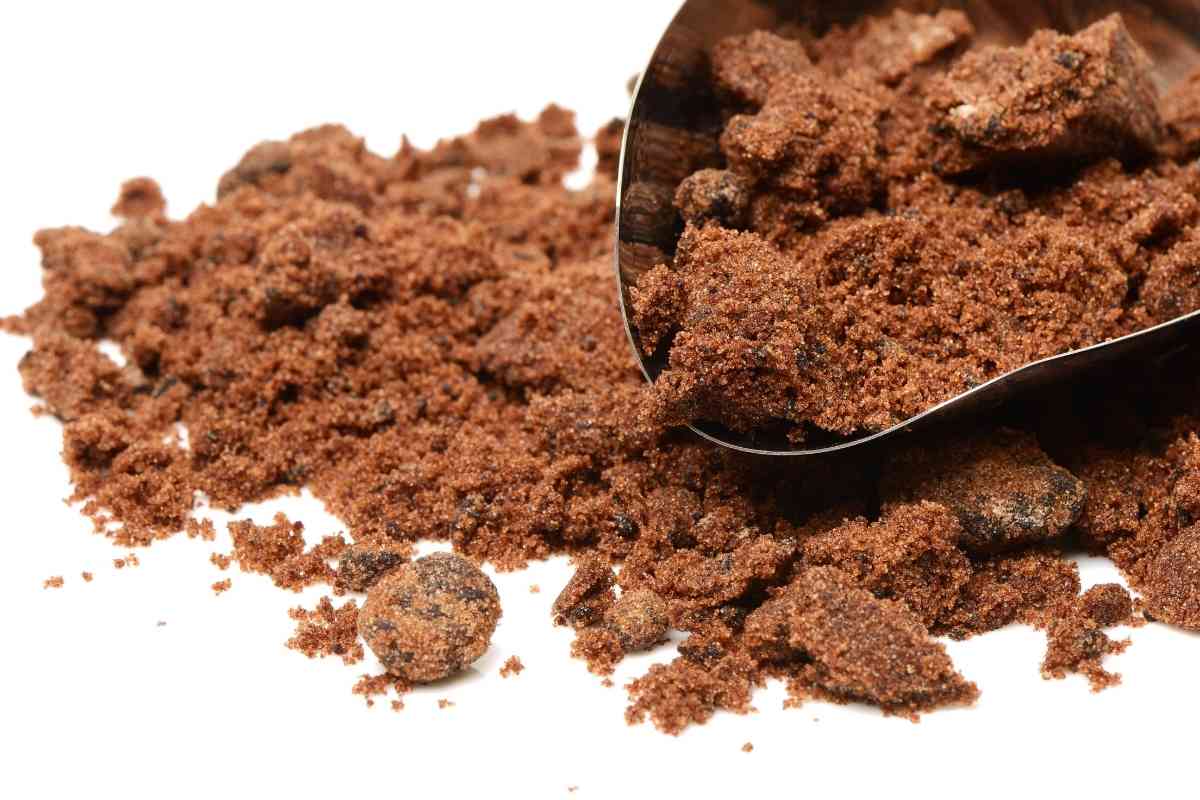 Muscovado Sugar Vs Coconut Sugar: What’s the Difference?