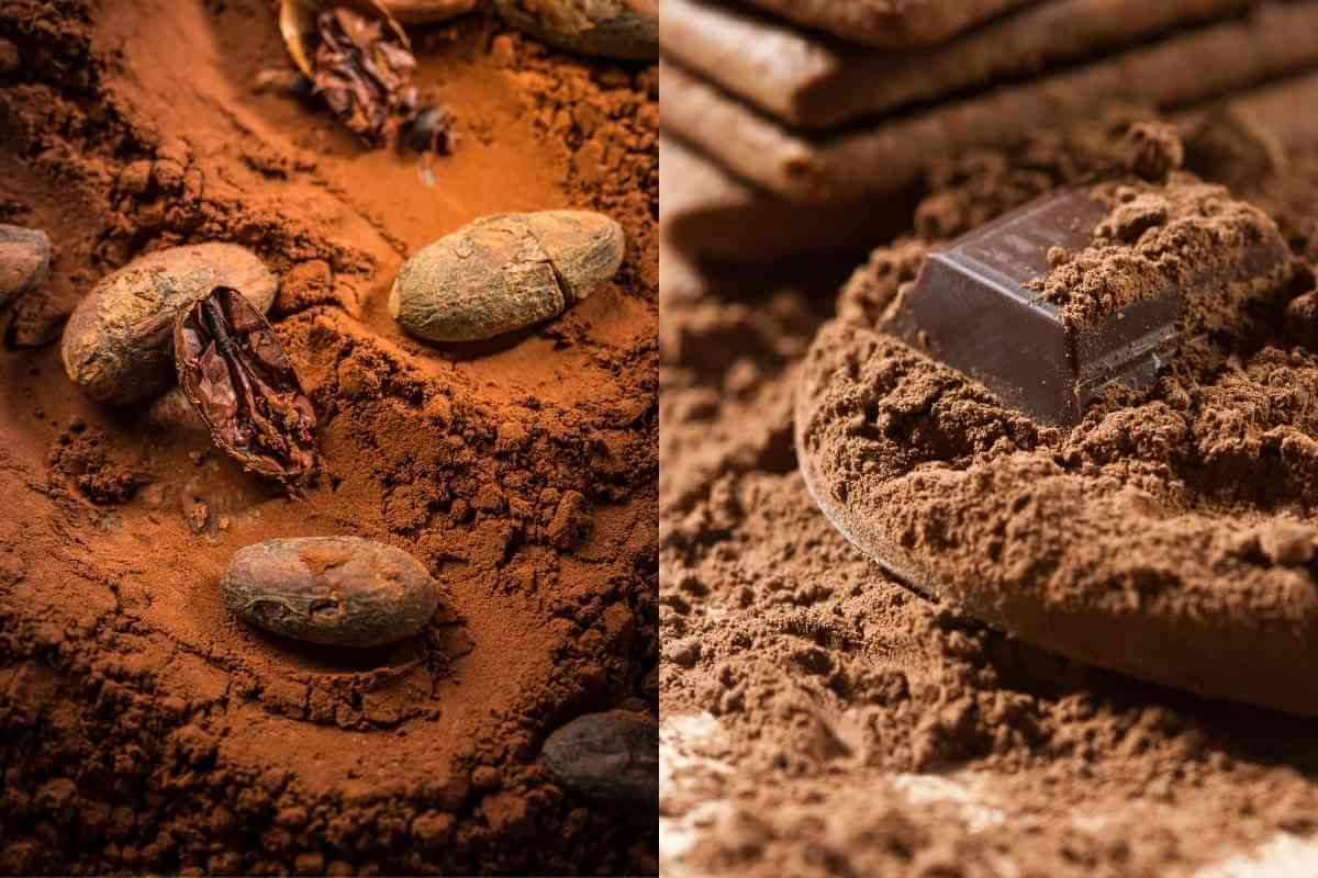 Baking Cocoa Vs Cocoa Powder: Key Differences