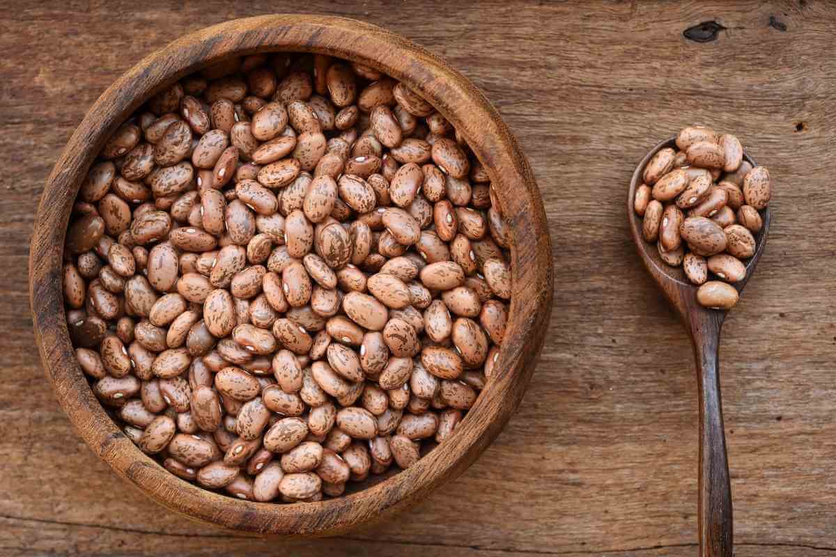 13 Best Pinto Beans Substitutes