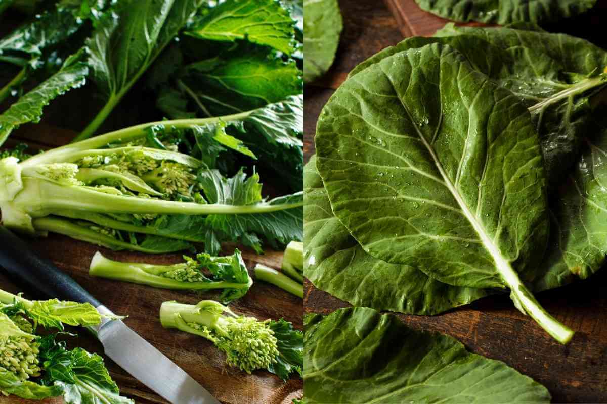 Turnip Greens Vs Collard Greens Key Differences