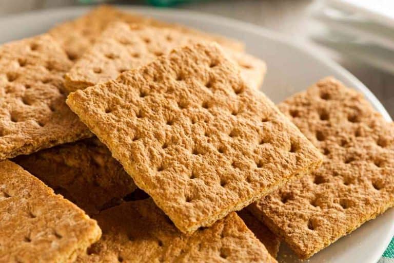 7 Best Nilla Wafers Substitutes