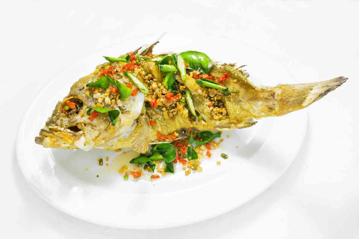 What Does Grouper Taste Like? (Answered)