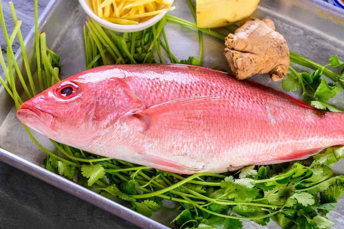 What Does Red Snapper Taste Like? (Answered)