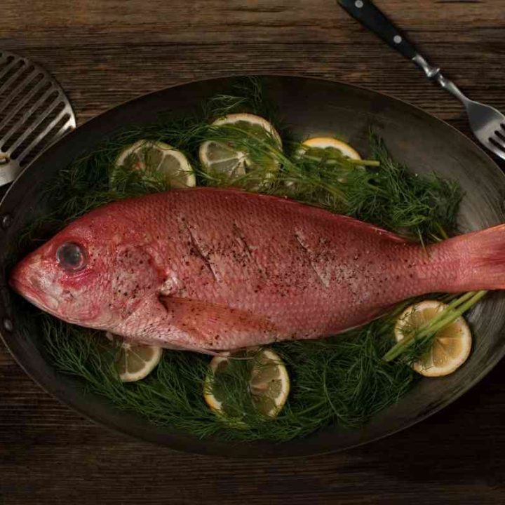 What Does Grouper Taste Like? (Answered)