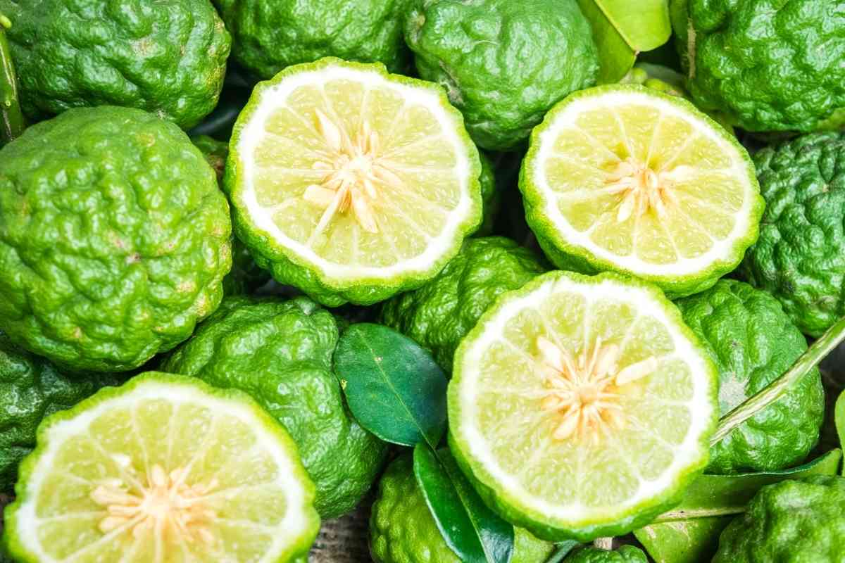 Can You Eat Bergamot? (What is it Used For?)