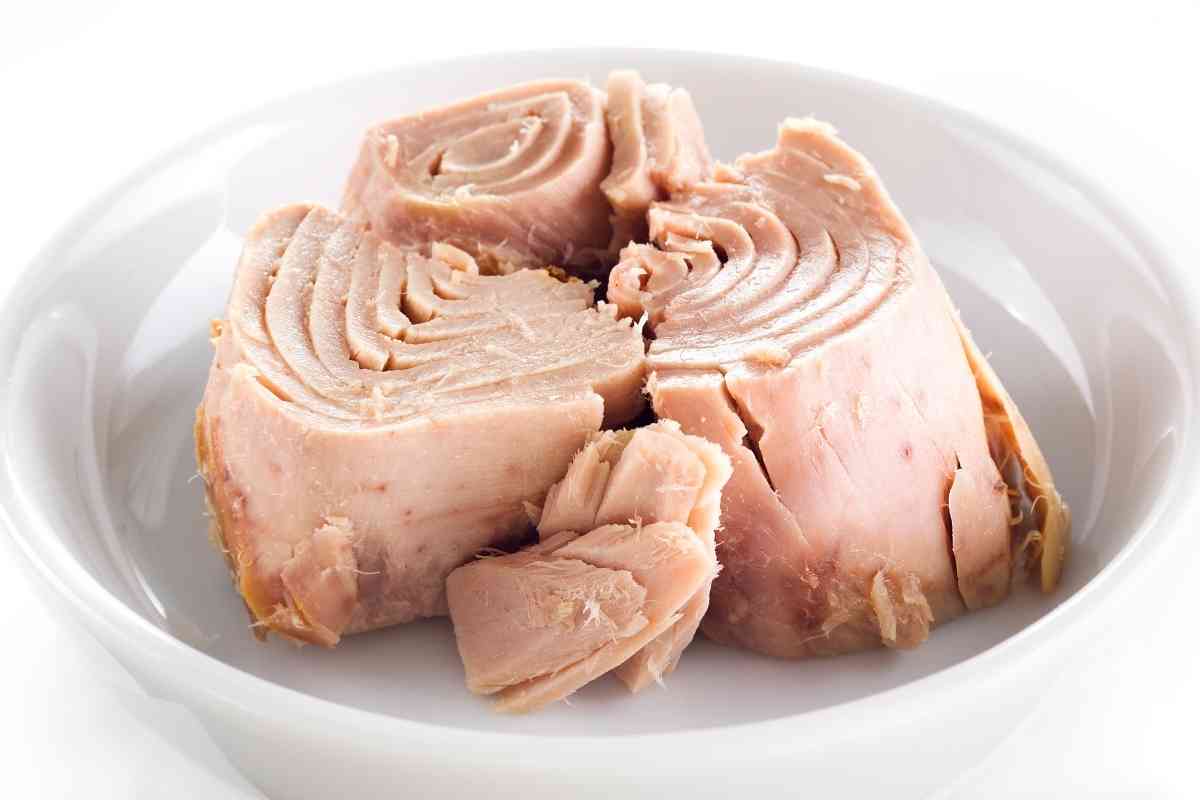 Top 10 Most Eaten Fishes In The World